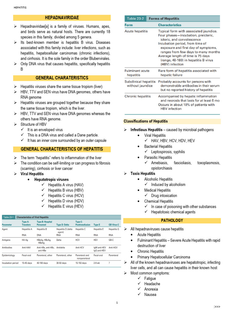 Hepatitis | PDF | Hepatitis | Hepatitis B