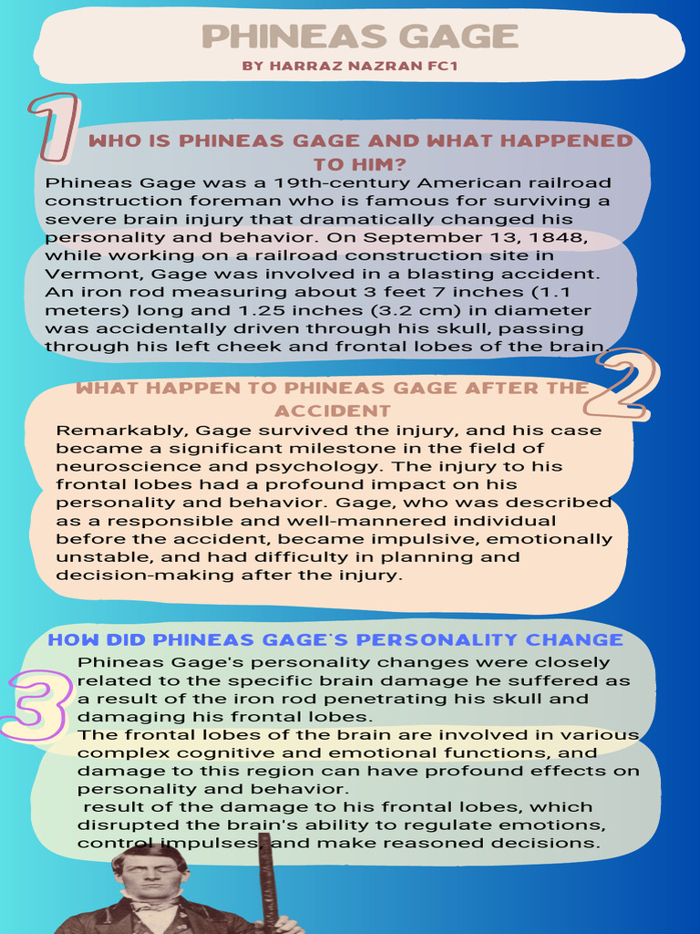 Phineas Gage | PDF