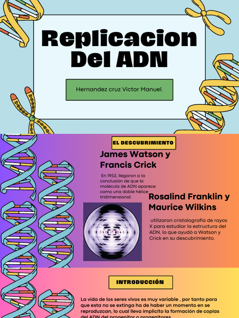 Replicacion y Trasncripcion Del Adn | Descargar gratis PDF | Adn | Rna