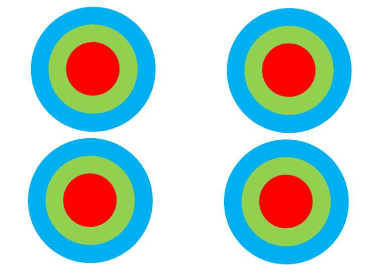 Cible-Cycle2 Eleves | PDF