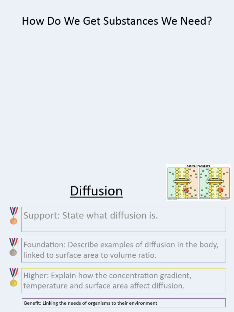 Understanding Diffusion and Osmosis | PDF | Stoma | Human Digestive System