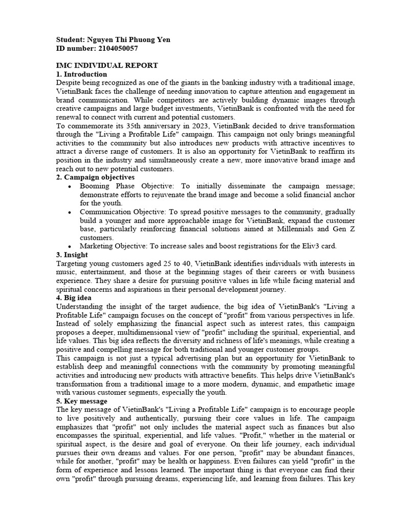 Imc Individual Report | PDF | Brand | Target Audience