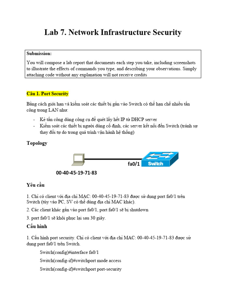 Lab 7. Network Infrastructure Security | PDF