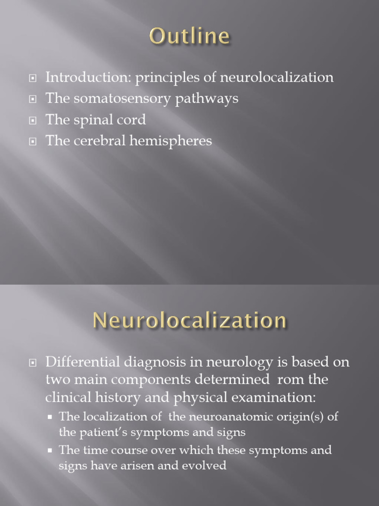 Neurolocalization 2021 | PDF | Brainstem | Spinal Cord