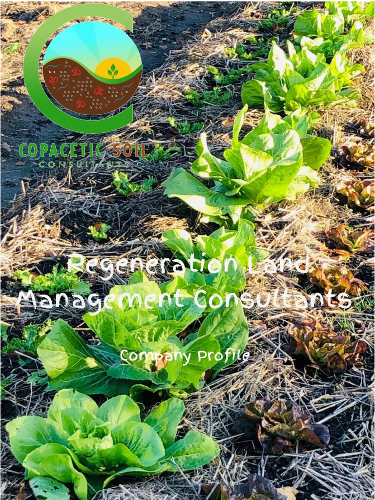 Copacetic Group: Sustainable Malawi Solutions | PDF