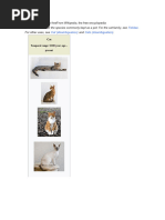 Cat General | PDF | Cats | Felids