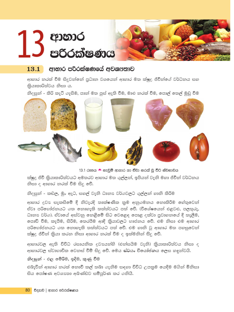 Sg8 Sci Chapter13 | PDF