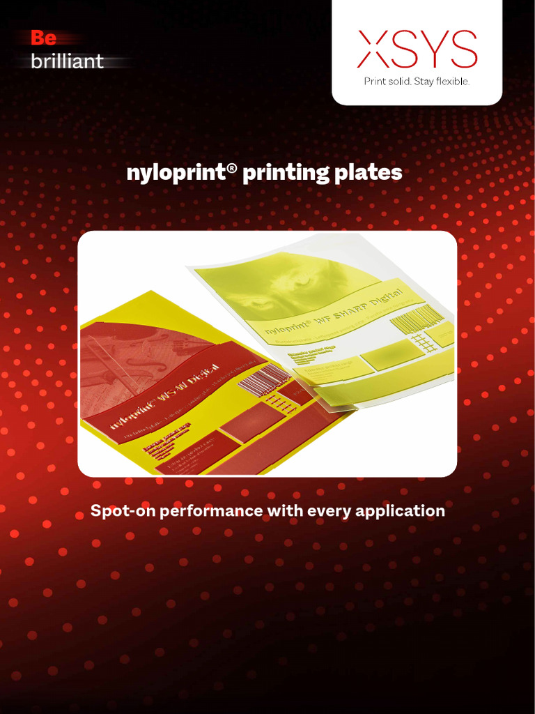 Nyloprint Overview EN | Download Free PDF | Printing | Secondary Sector Of The Economy