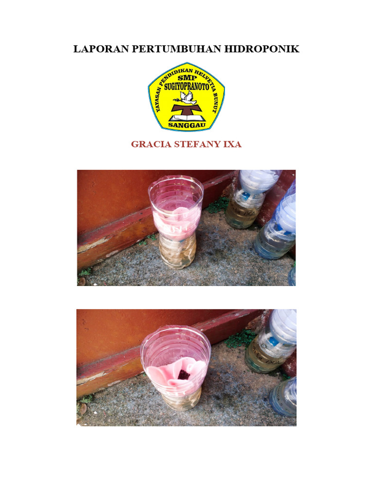 Panduan Hidroponik Botol Sederhana | PDF | Sains & Matematika