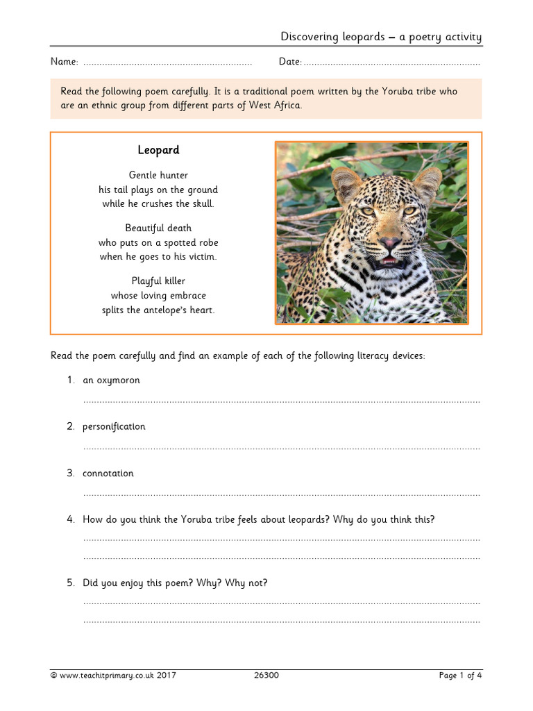 Year 5 Reading Discovering Leopards Comprehension | PDF | Poetry | Adverb