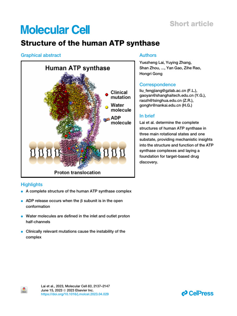 Structure of The Human ATP Synthase 2023 Molecular Cell | PDF ...