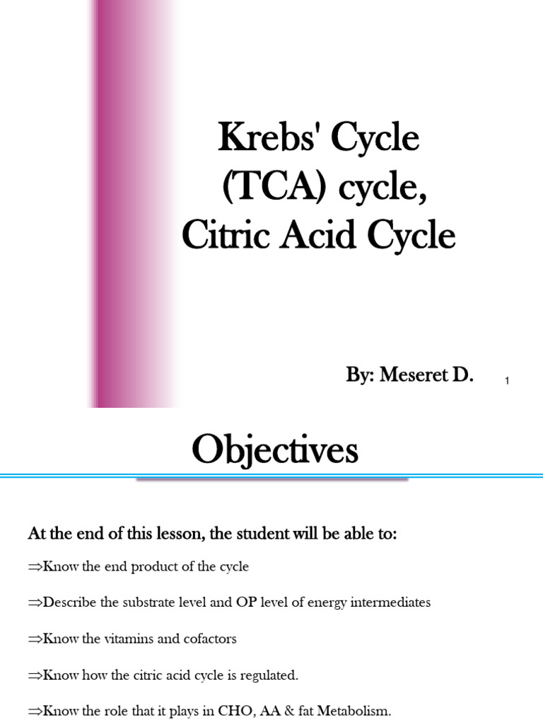 4 Tca Cycle Pdf Citric Acid Cycle Chemistry