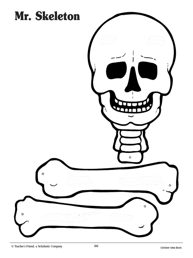 Skeleton Template | PDF | Arm | Musculoskeletal System