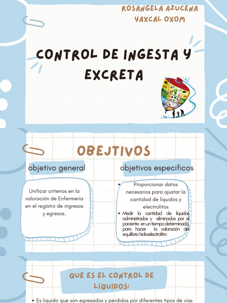 Control de Ingesta y Excreta | PDF