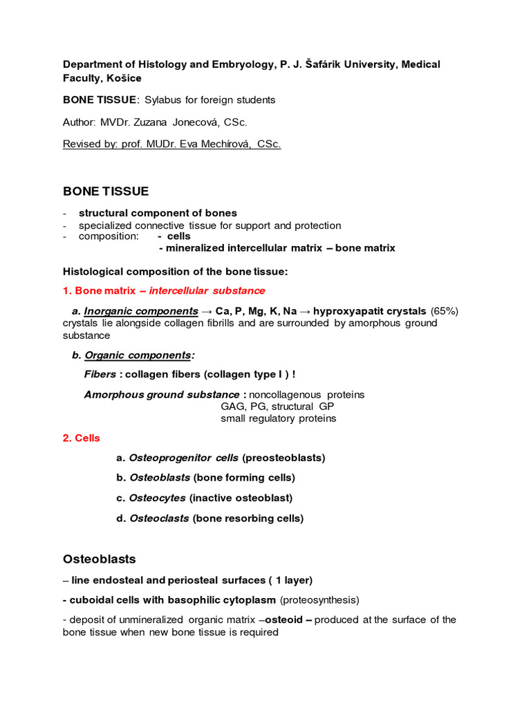 4.2.2. Bone Tissue | PDF | Bone | Osteoblast
