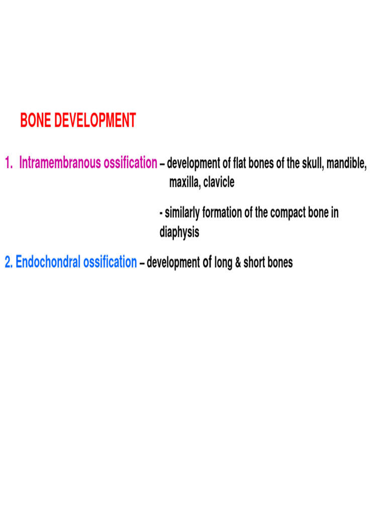 Bone Development: Ossification Processes | PDF | Bone | Skeletal System