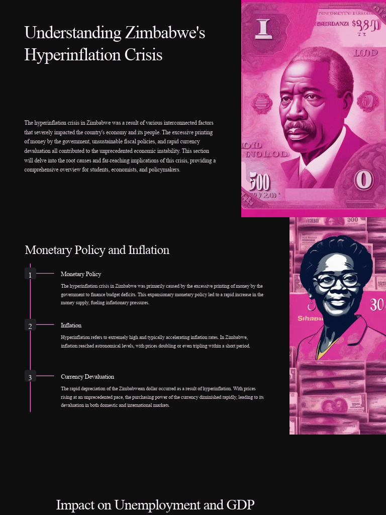 Causes of Zimbabwe's Hyperinflation | PDF | Inflation | Monetary Policy