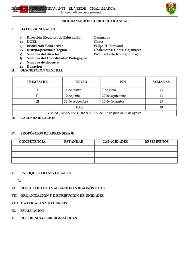 PROGRAMACIÓN CURRICULAR ANUAL - ESQUEMA | PDF