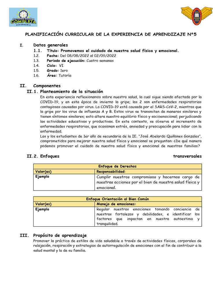 Experiencia de aprendizaje - N°5 III BIMESTRE | PDF | Las emociones | Influenza