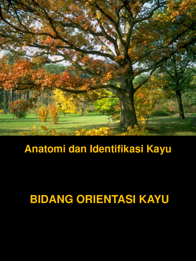 Arah dan Bidang Orientasi Kayu | PDF | Griya & Taman