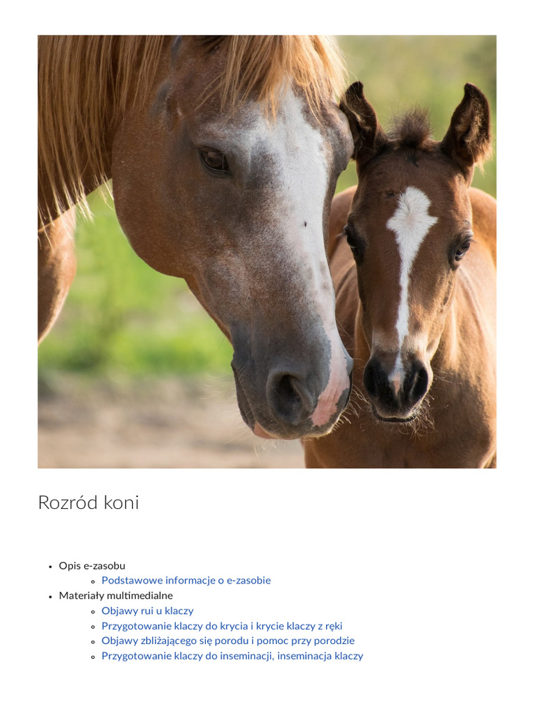 Rozrod Koni | PDF