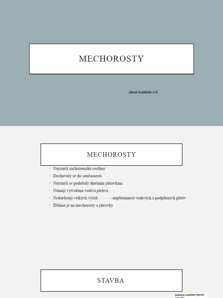 Mechorosty JK | PDF