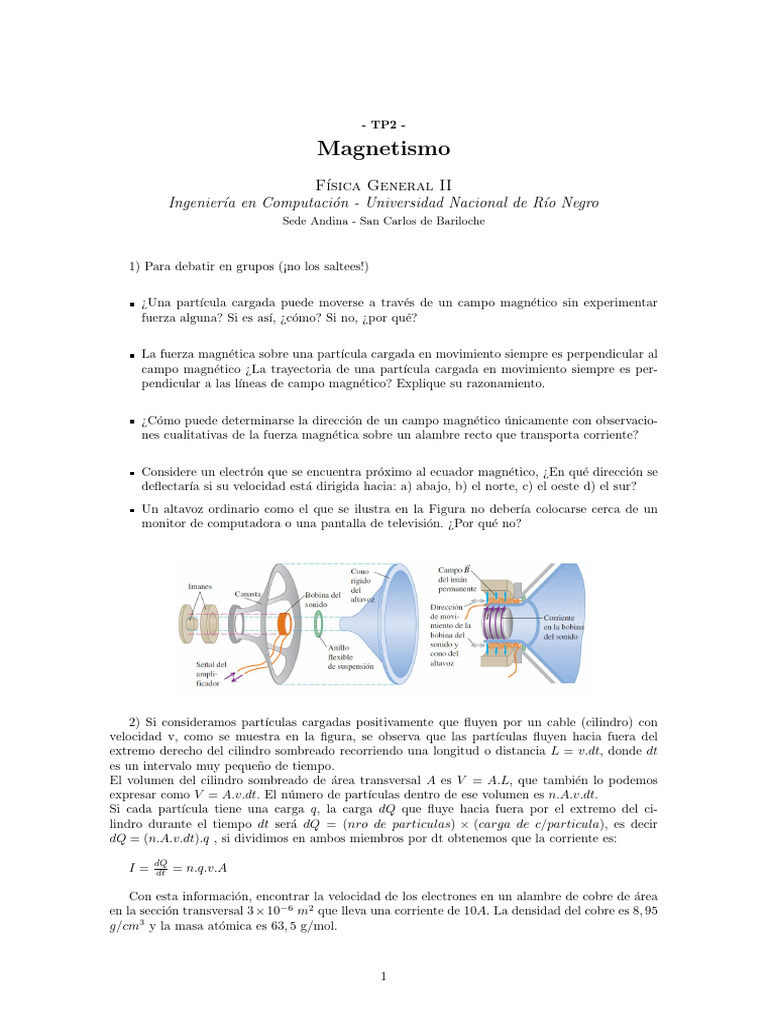 Física II - Práctica 2 (Magnetismo) - UNRN - 2023 | PDF | Campo magnético | Inductor