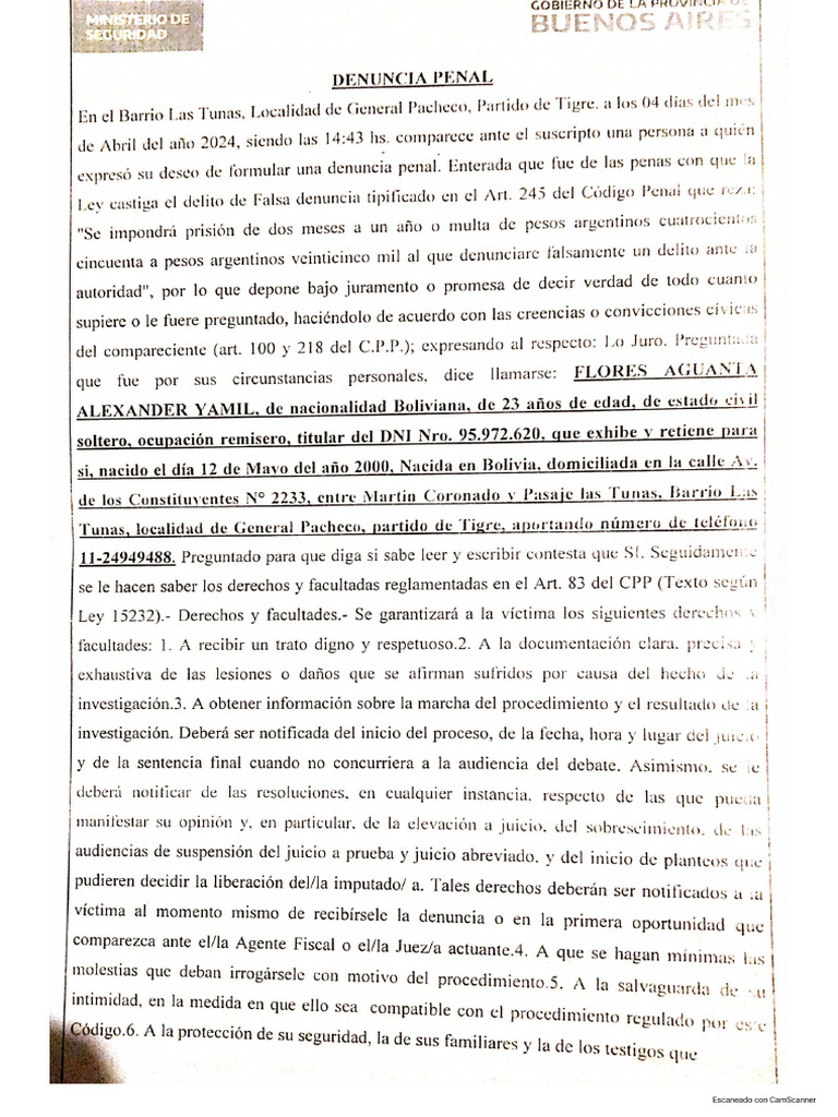 Denuncia | PDF