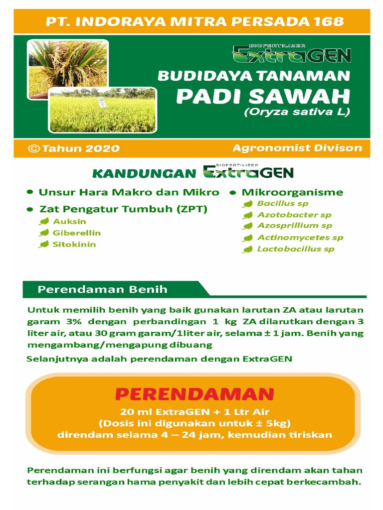 Brosur Padi 2020 | PDF