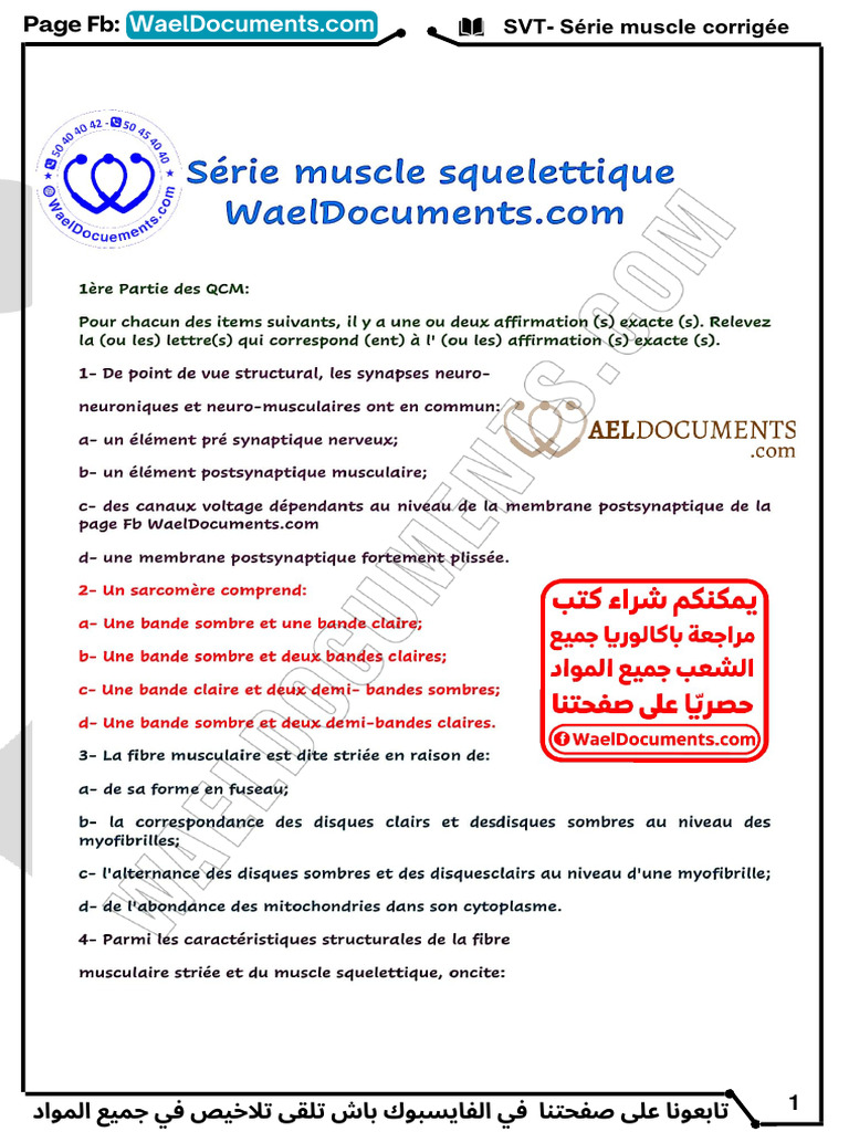 Muscle Squelettique - Série Corrigée - WaelDocuments | PDF
