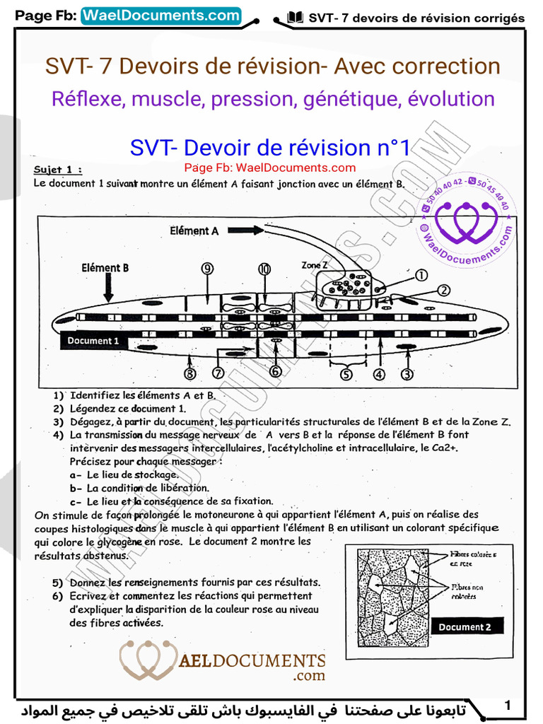 SVT 7 Devoirs de Revision Avec Correction WaelDocuments | PDF