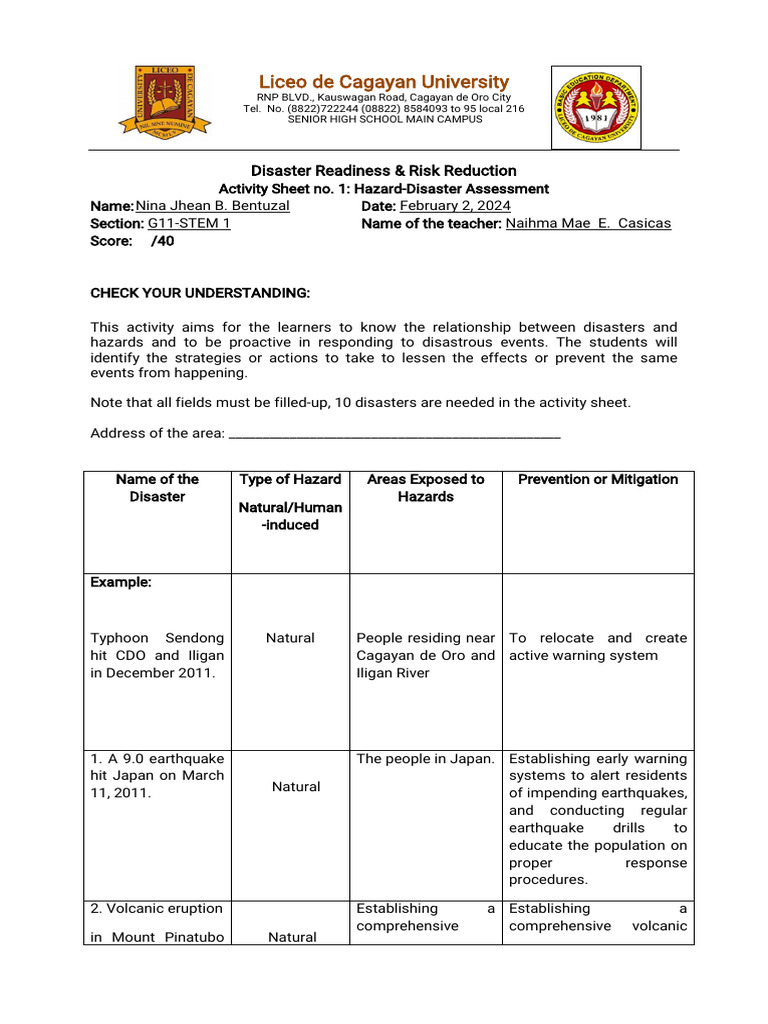 Hazard-Disaster Assessment Activity Sheet | PDF