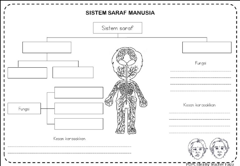 Wsheet Saraf 1 | PDF