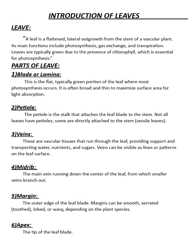 Introduction of Leaves | PDF