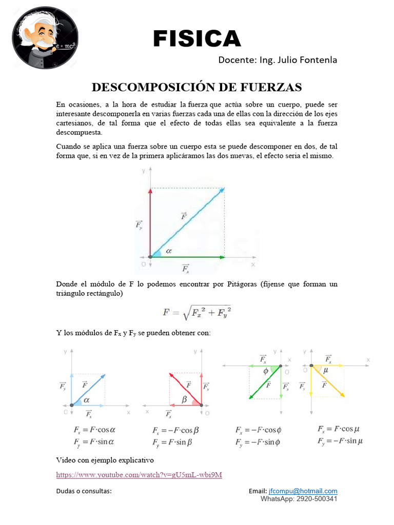Fuerzas 2023 | PDF | Vector Euclidiano | Fuerza
