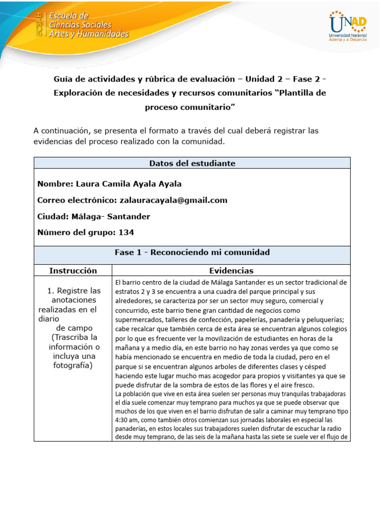 Anexo 1 - Plantilla Del Proceso Comunitario | PDF