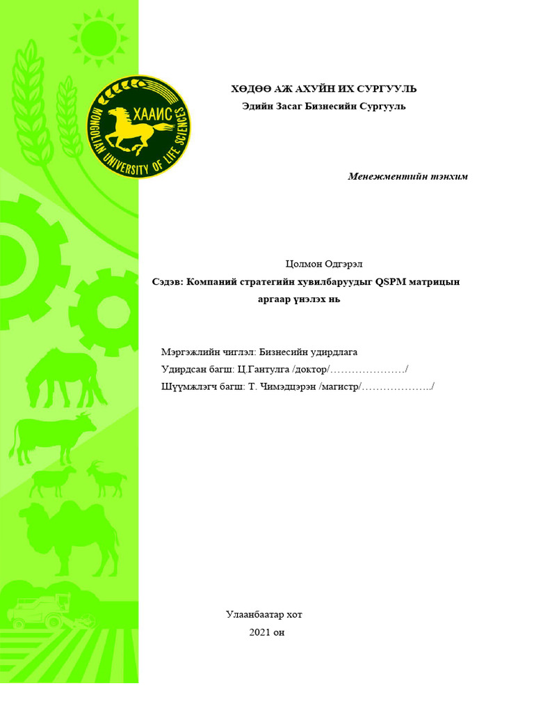 Diplom 5318028 Odgerel | PDF