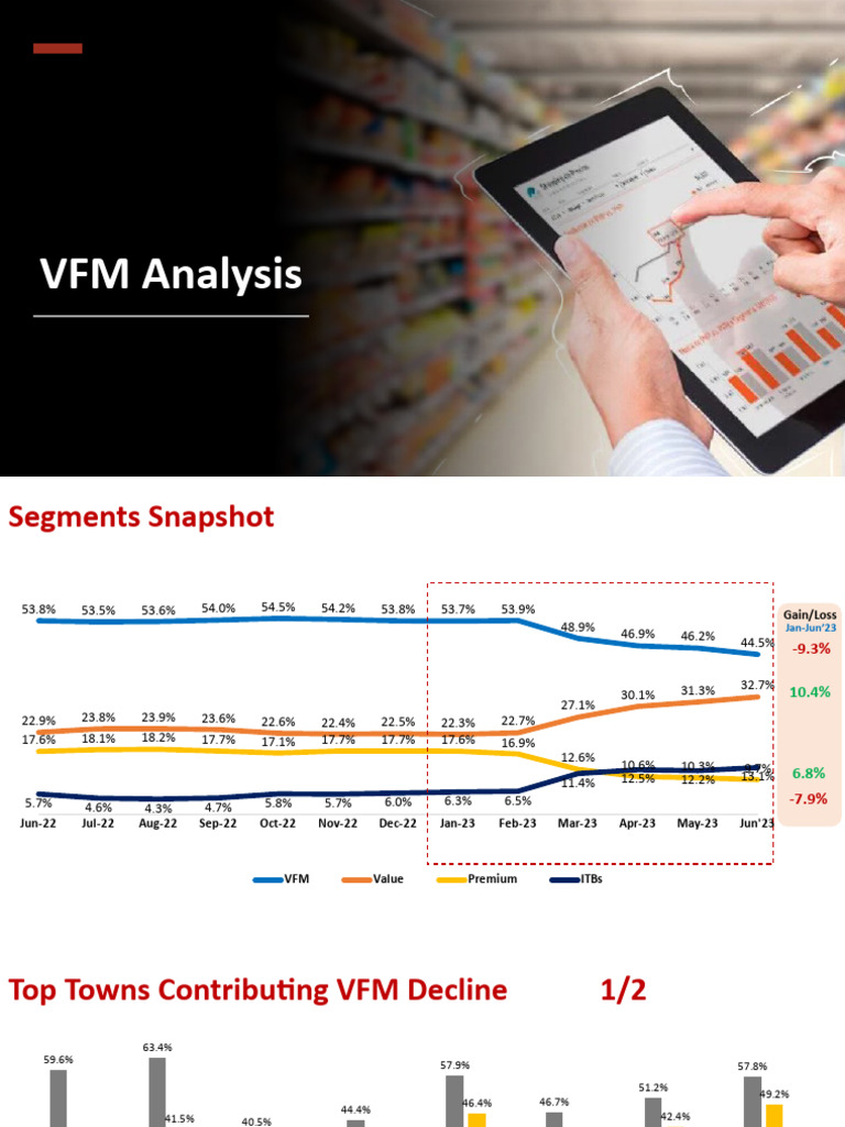 VFM Segment Analysis | PDF