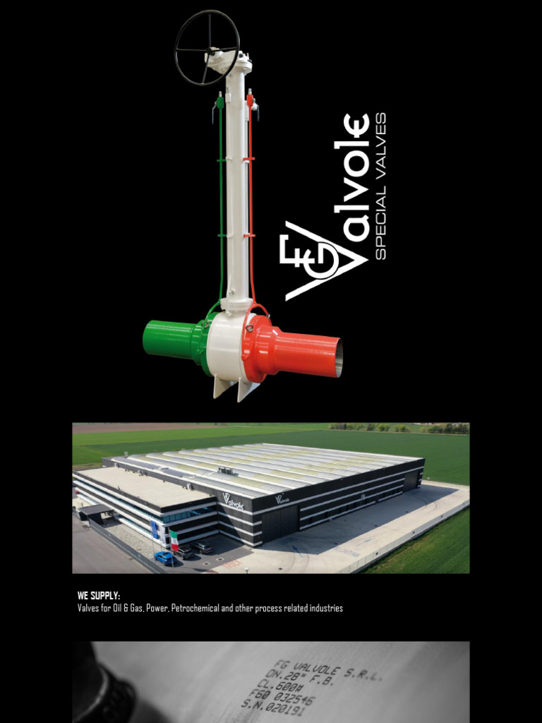 FG VALVOLE Company Profile 2023 | PDF | Valve | Mechanical Engineering
