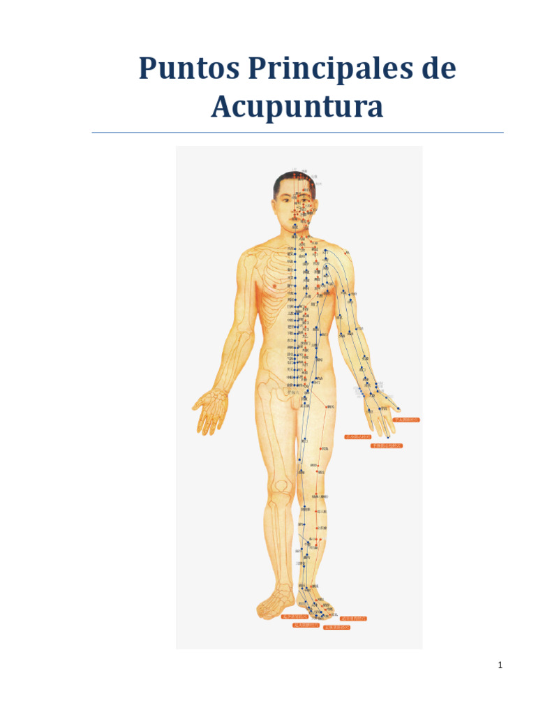 Librillo Puntos de Acupuntura | PDF | Mano | Anatomía humana