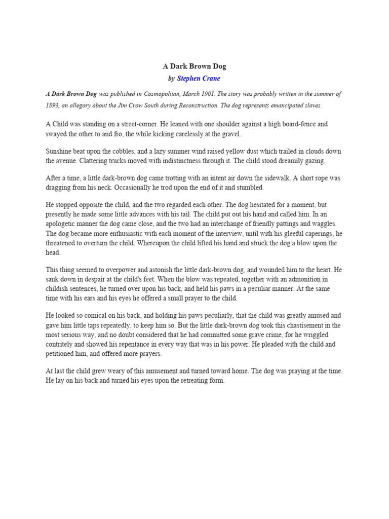 Summary of A Dark Brown Dog | PDF