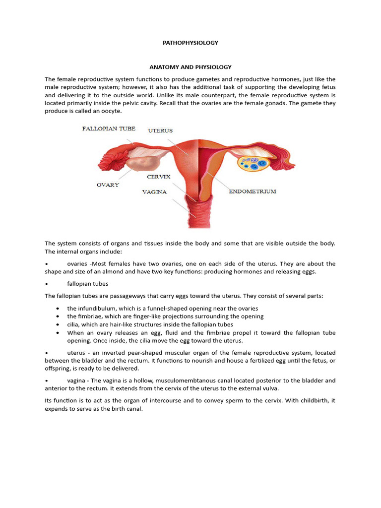PATHOPHYSIOLOGY | PDF | Reproductive System | Uterus