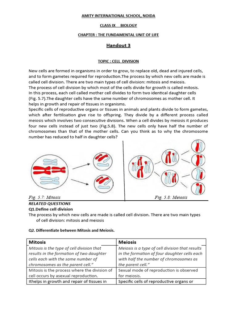 Handout 3: Amity International School, Noida Class Ix Biology Chapter: The Fundamental Unit of ...