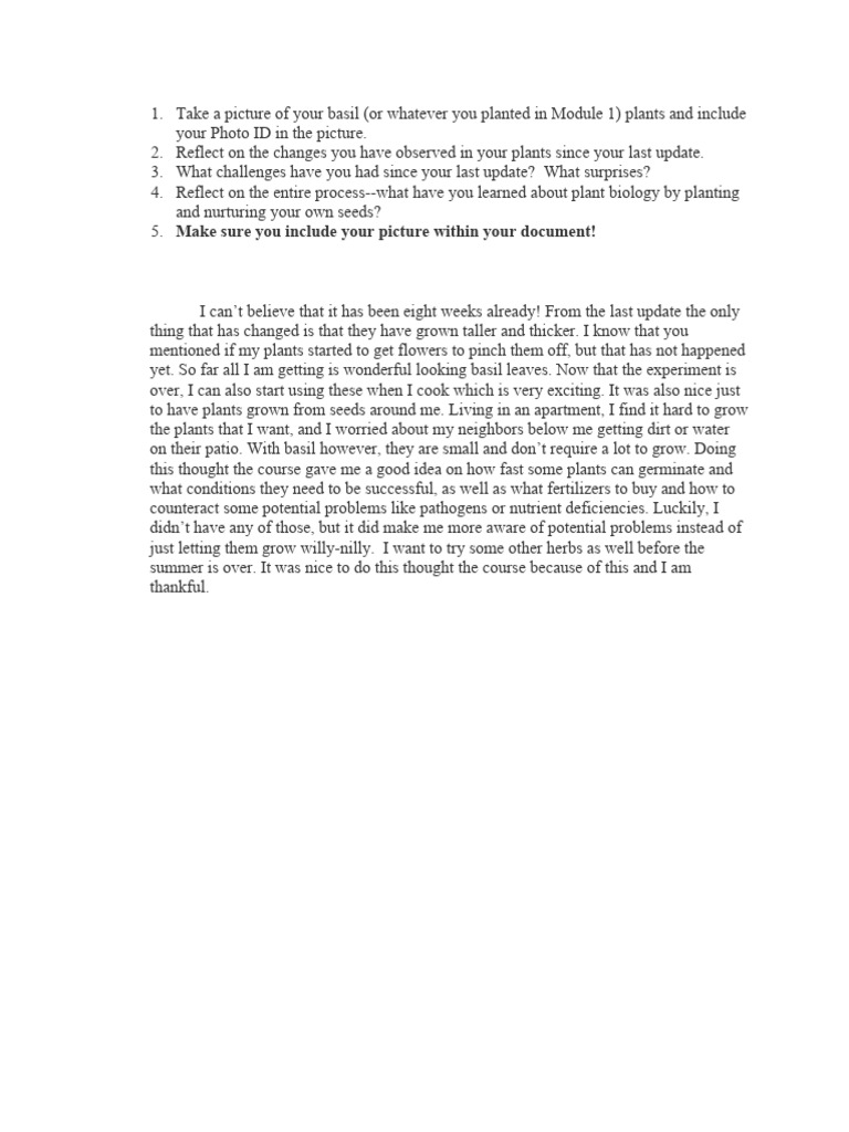 Final Basil Update | PDF