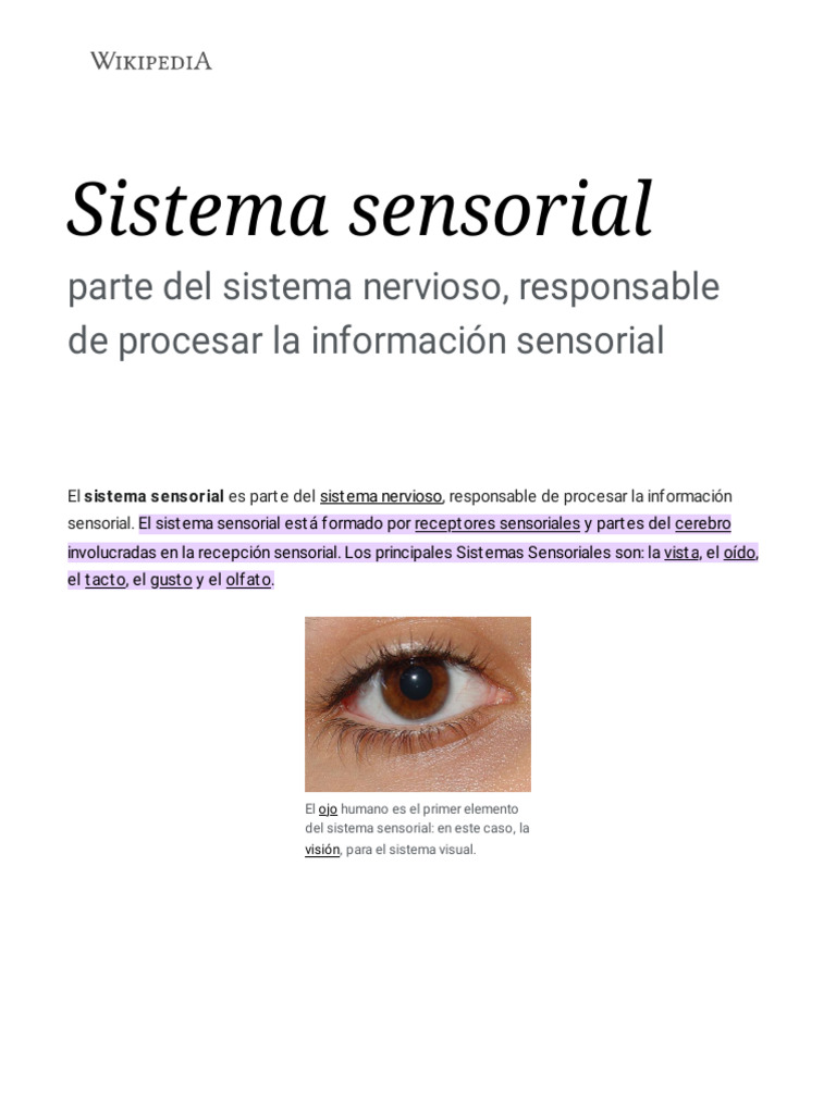 El Sistema Sensorial Humano | PDF | Oído | Escuchando