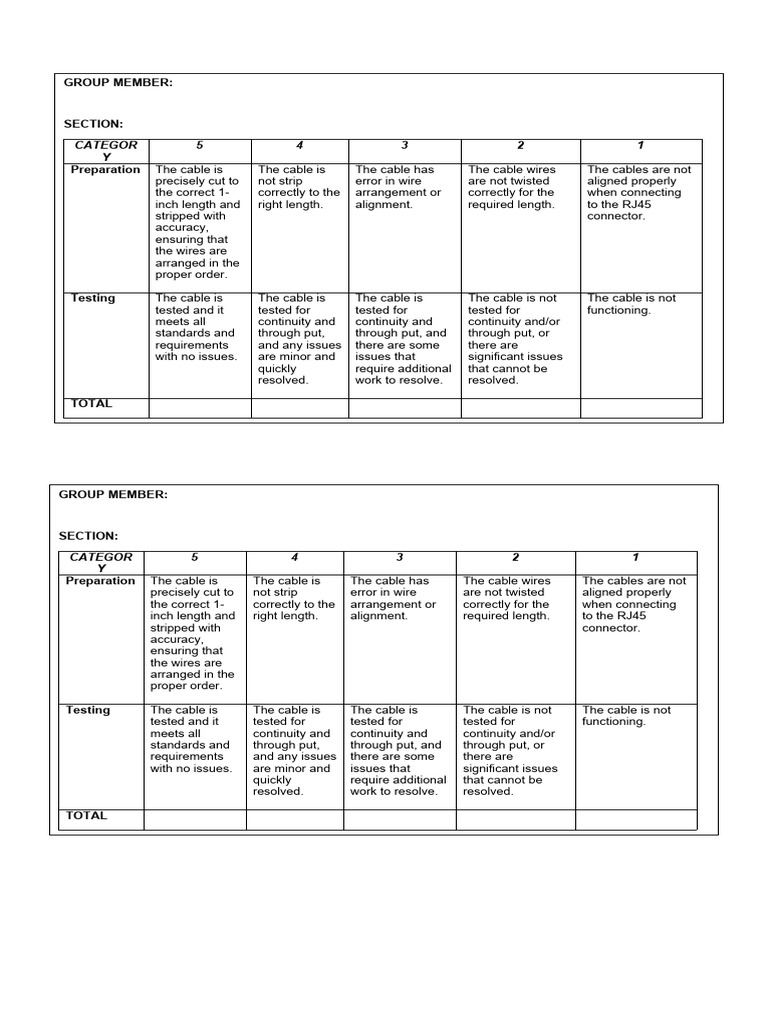 RUBRICS DEMO | PDF | Electrical Connector | Accuracy And Precision