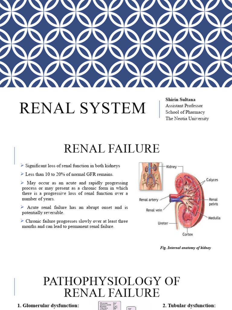 Renal System | PDF | Medicine | Medical Specialties