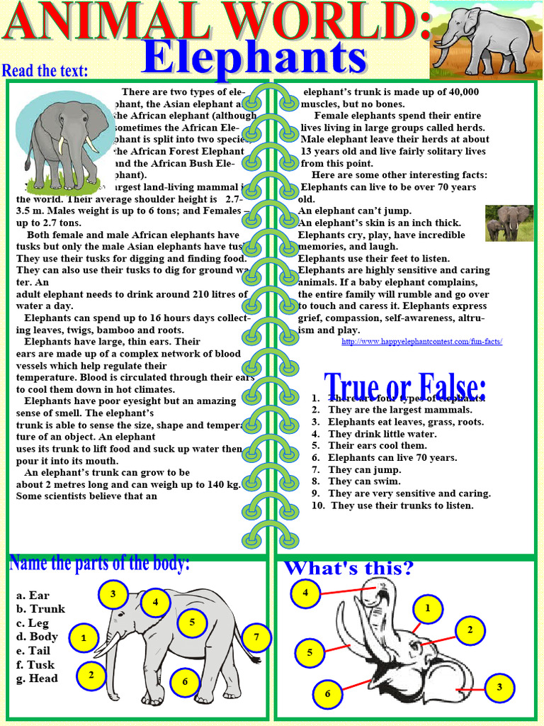 Animal World Elephants | Download Free PDF | Elephant | Zoology