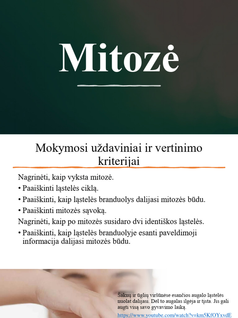 Mitoze | PDF