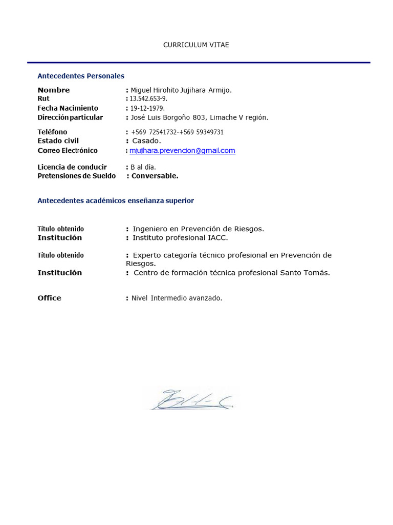 Curriculum Vitae Miguel Jujihara | PDF | Business